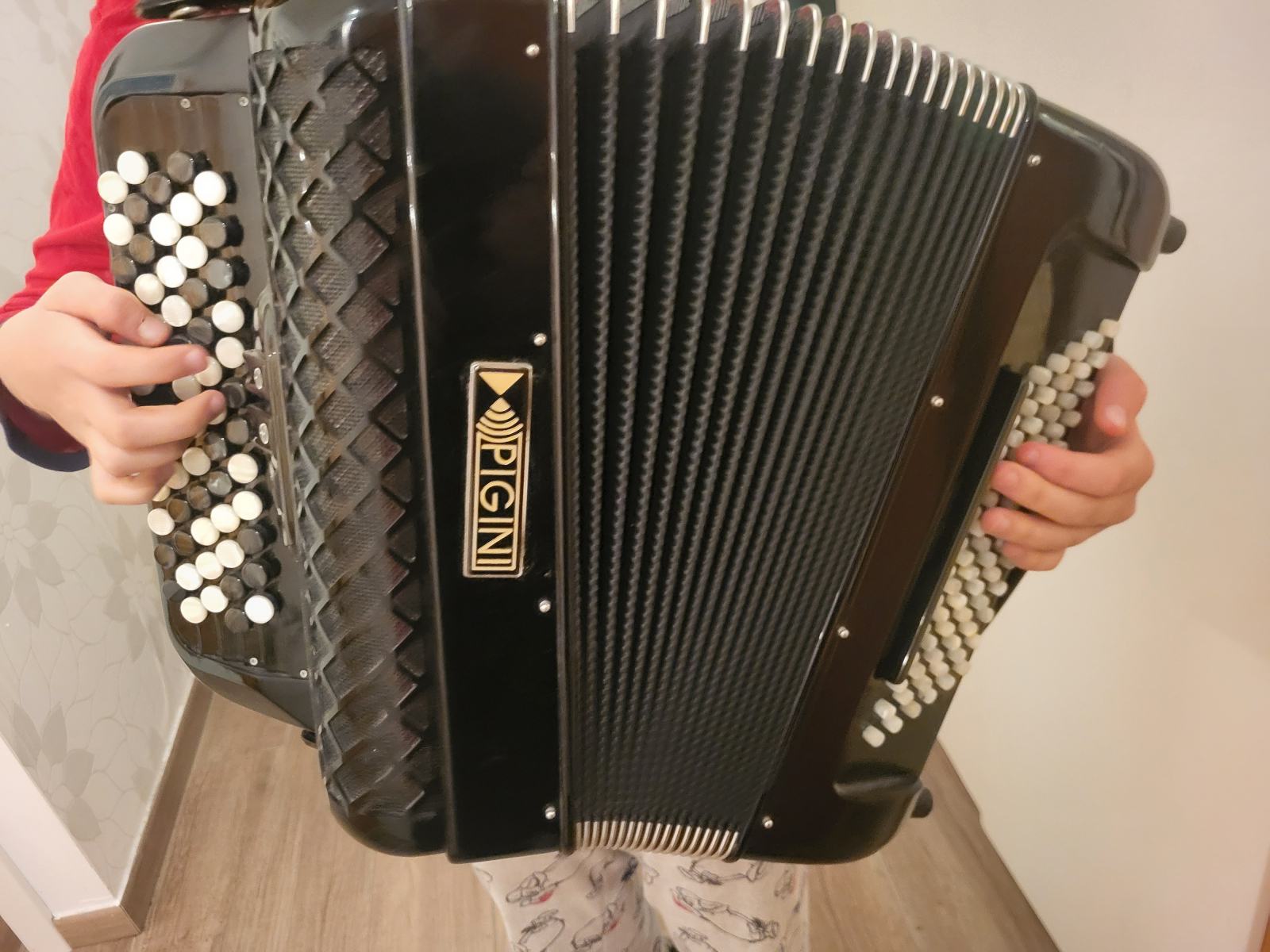 Dragonja 95, Sečovlje 6333