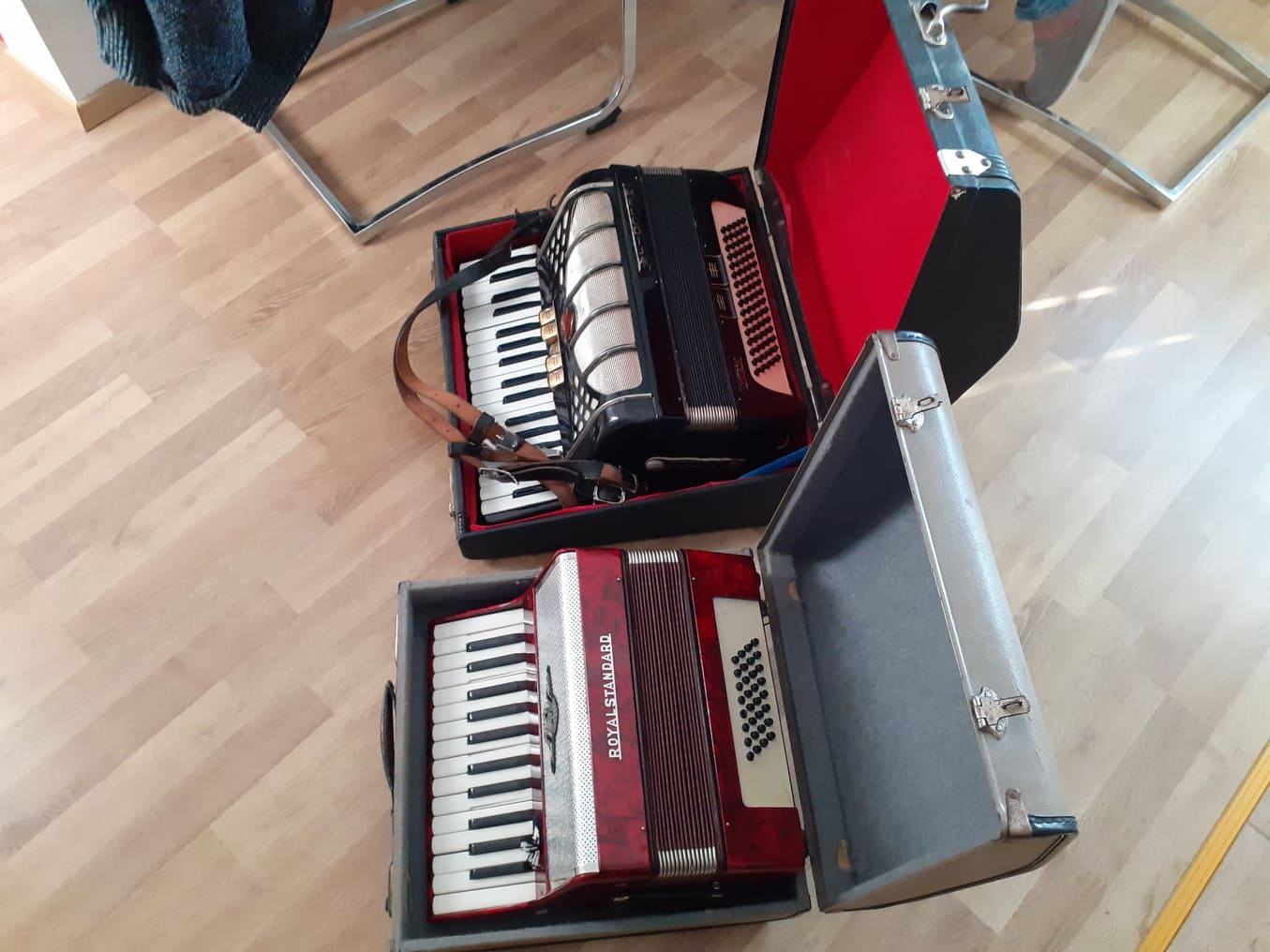 ROYAL STANDARD 32 bas (otroške)