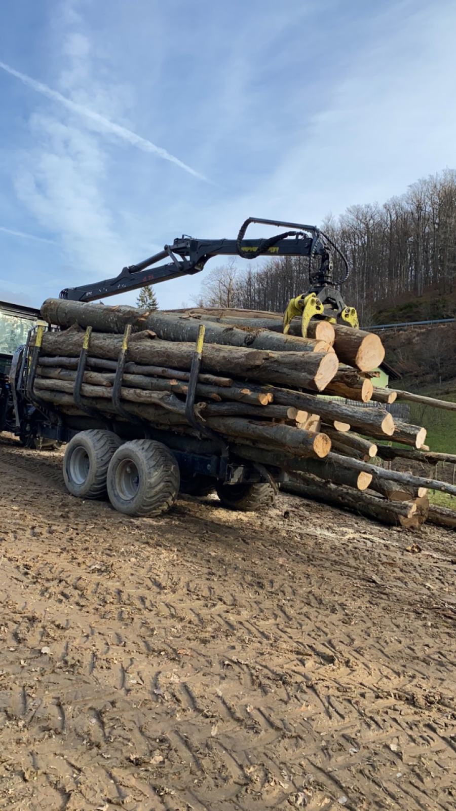 Bukev hlodovina za drva