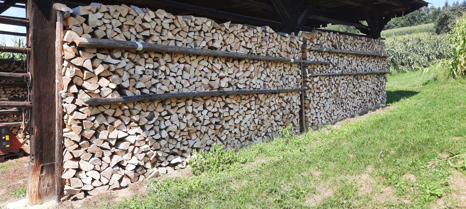 Drva bukova suha prodam