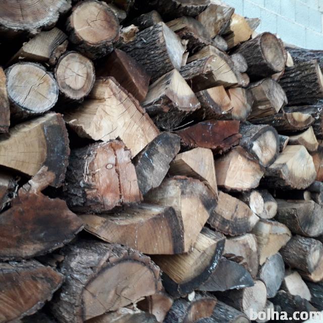 DRVA - Suha -KURJAVA