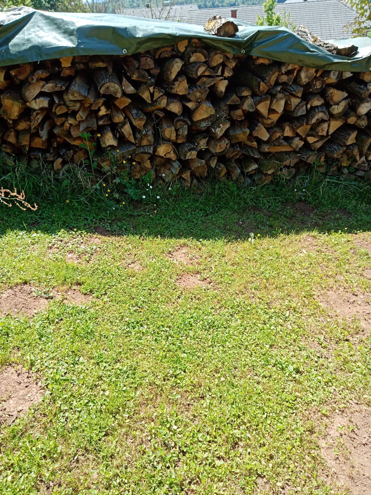 HRASTOVA DRVA - SUHA