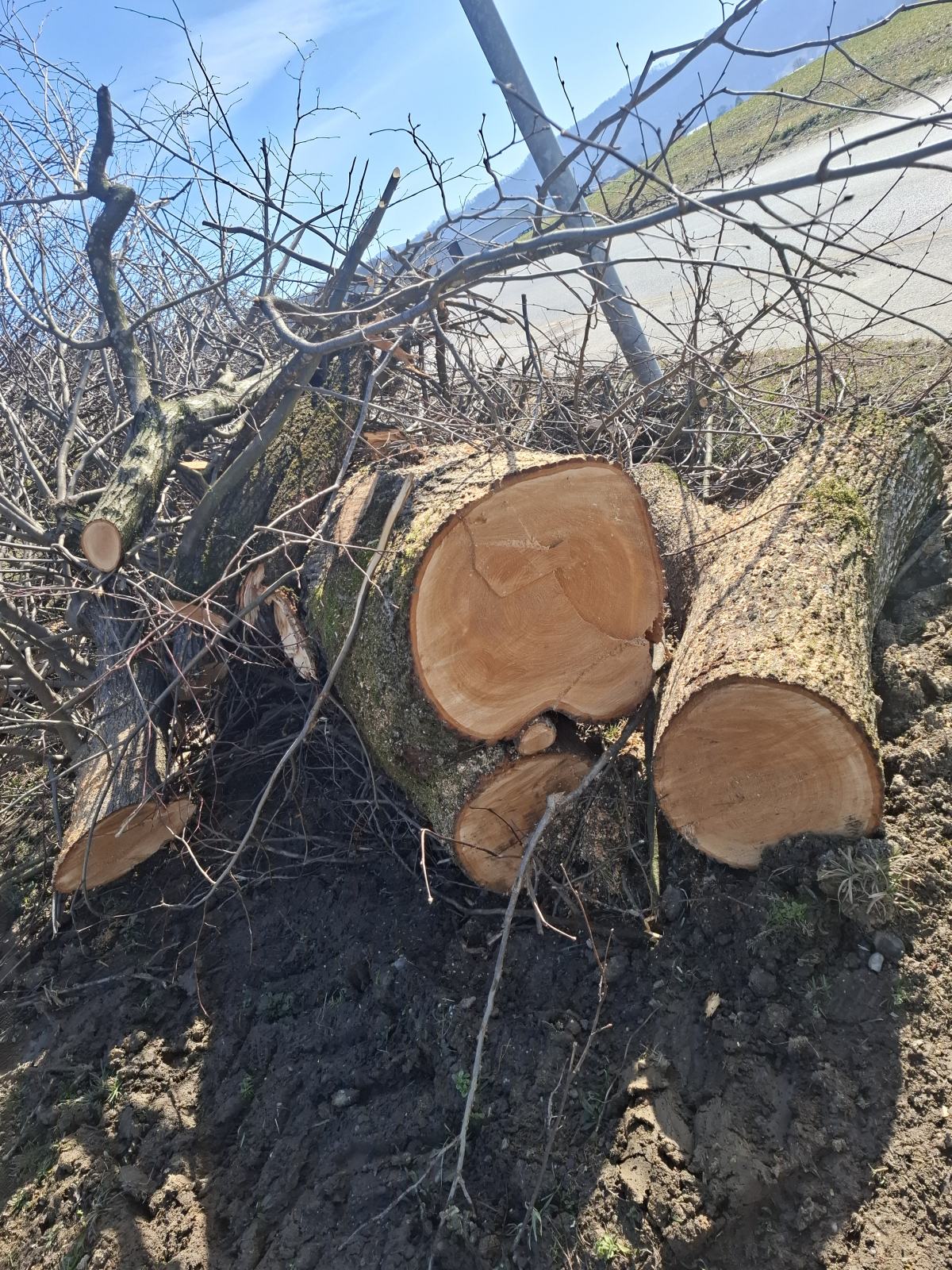 Mostečno 4 , 2321 Makole