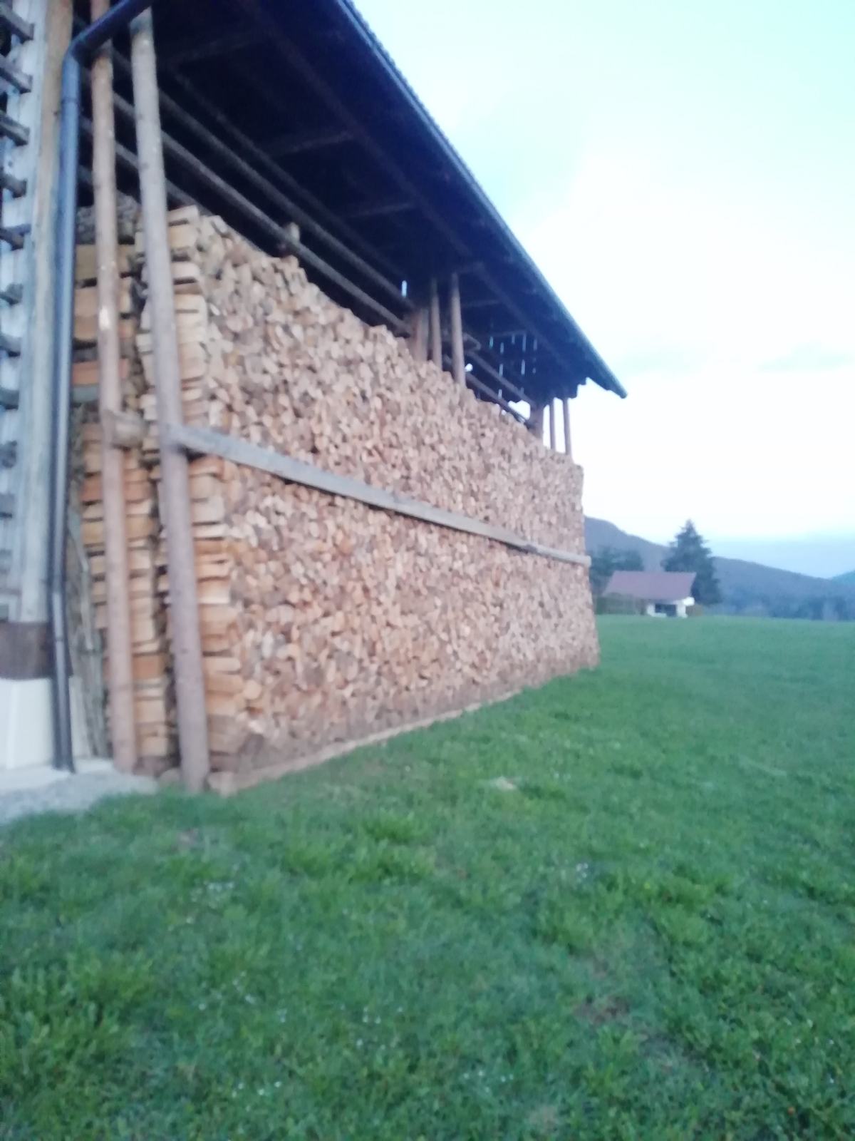 suha drva - polena 35 cm