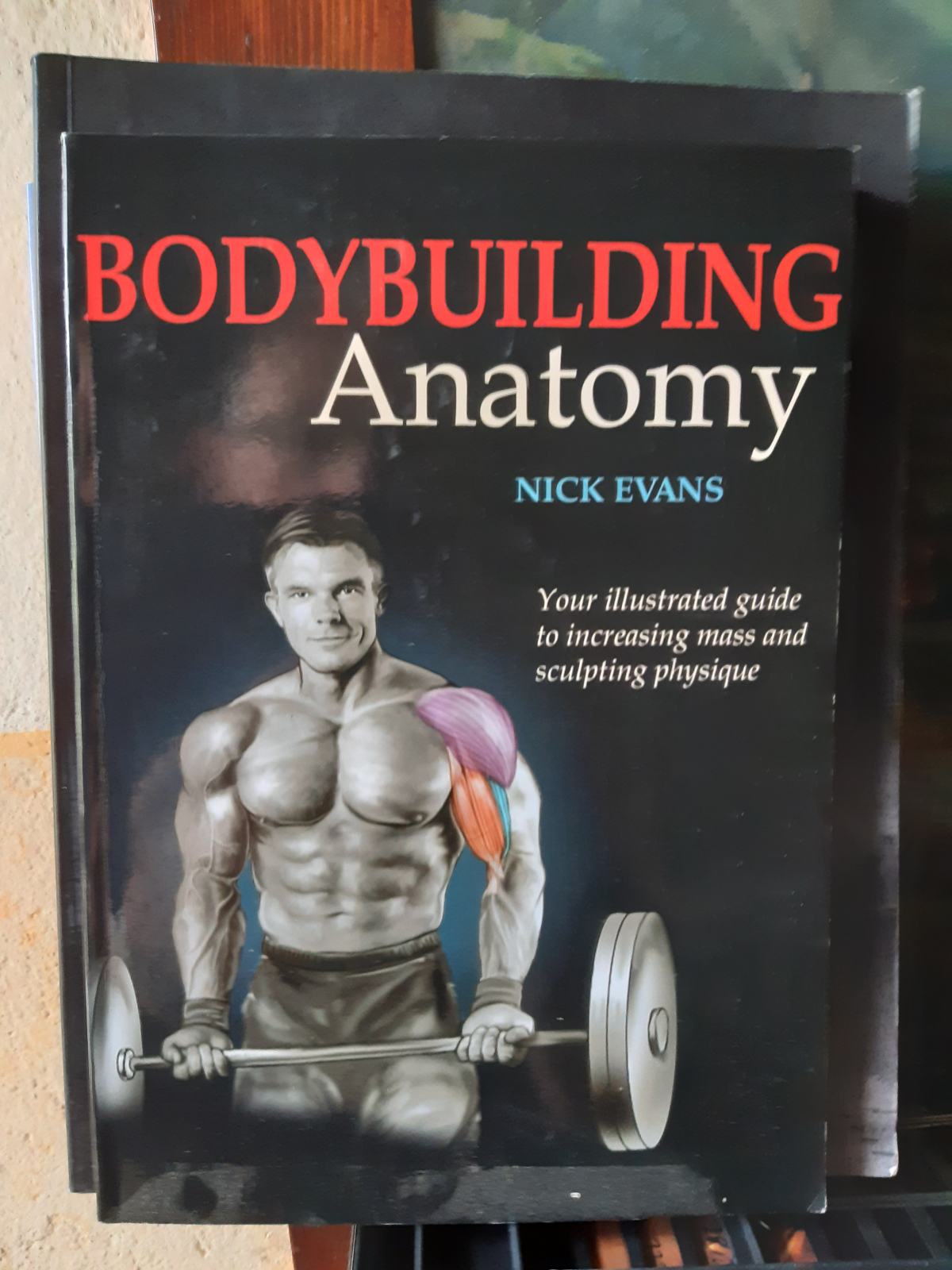 BODYBUILDING ANATOMY