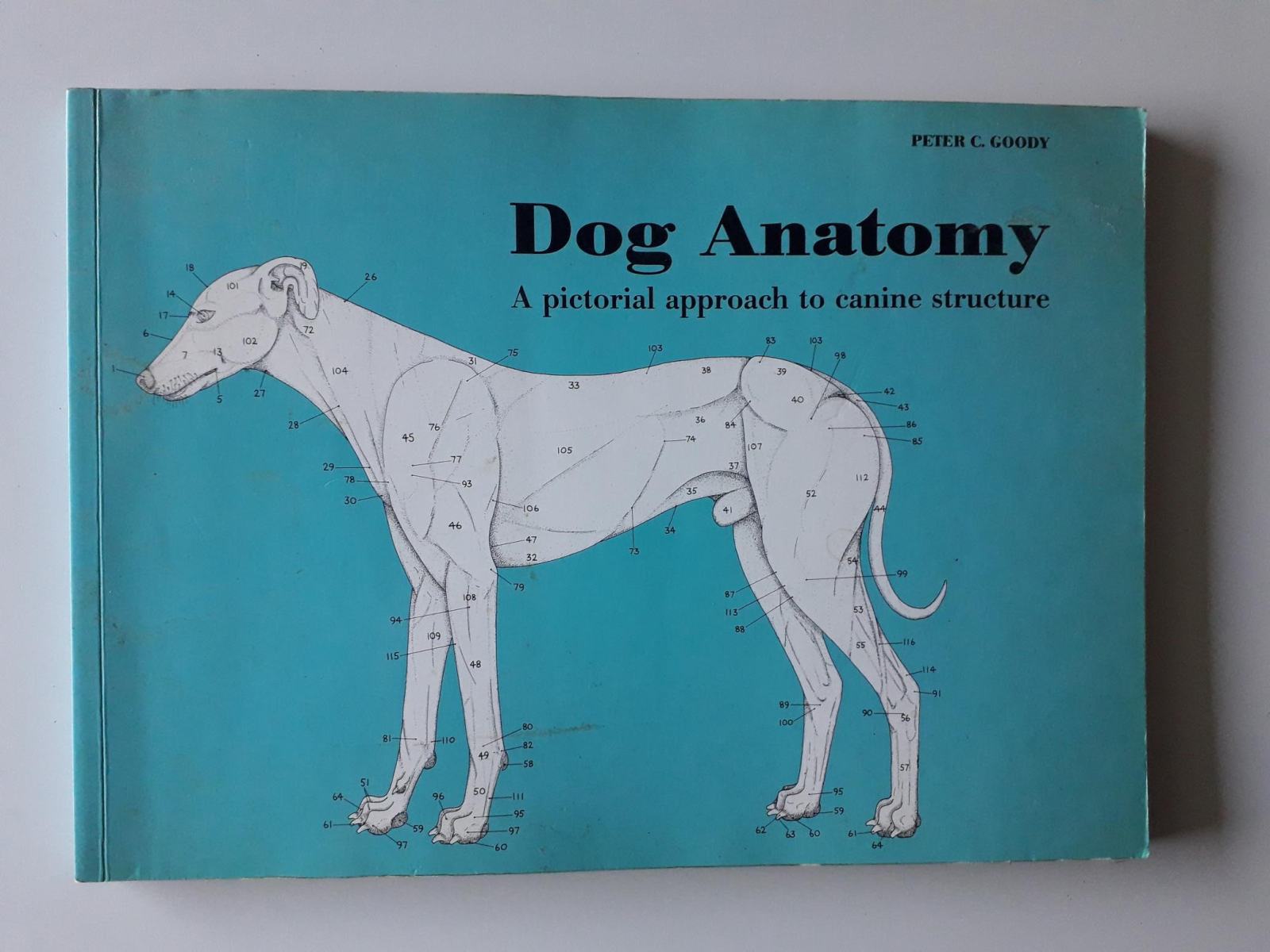 DOG ANATOMY, A PICTORIAL APPROACH TO CANINE STRUCTURE, PSI