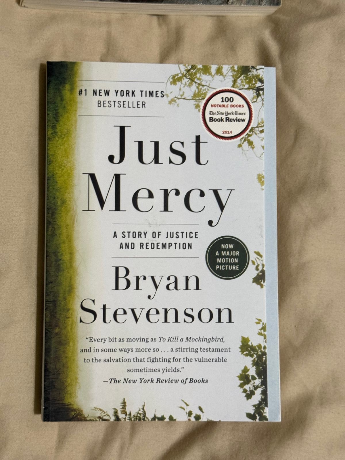 Just Mercy, Bryan Stevenson, angleška knjiga