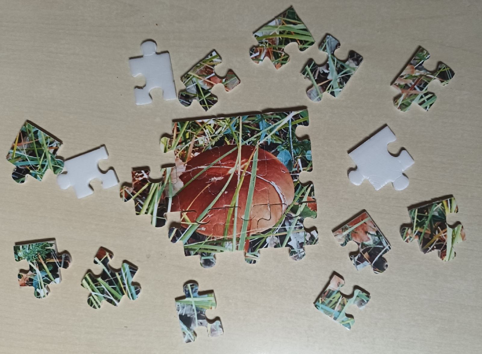 Puzzle s sliko po izbiri