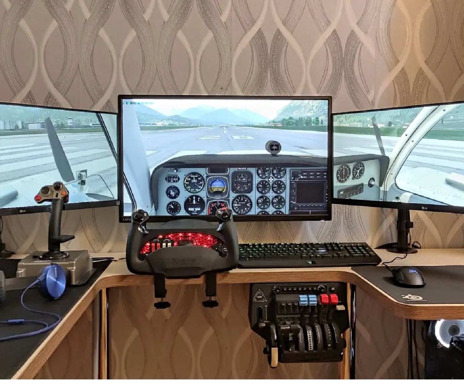 ALPHA FLIGHT CONTROLS & BRAVO THROTTLE QUADRANT (flight simulator)