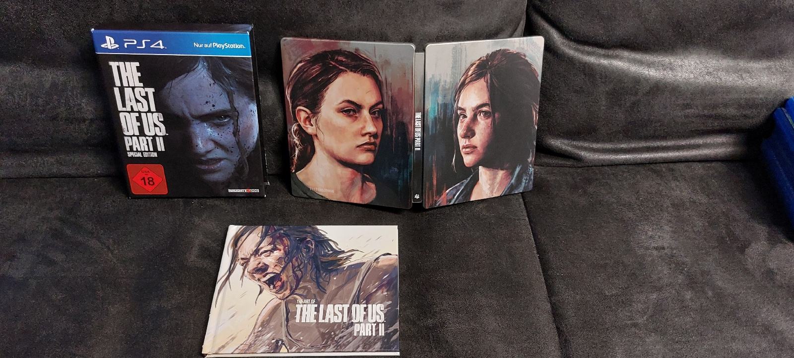 PS4 Steelbook Special Edition