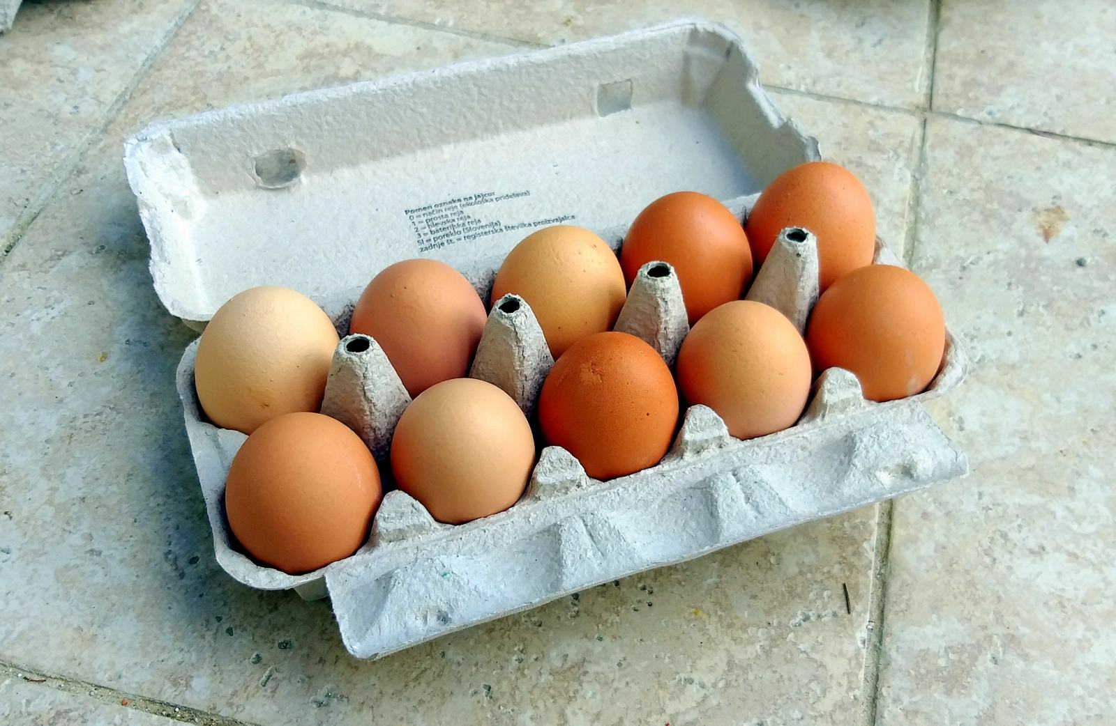 Domača jajca pašne reje