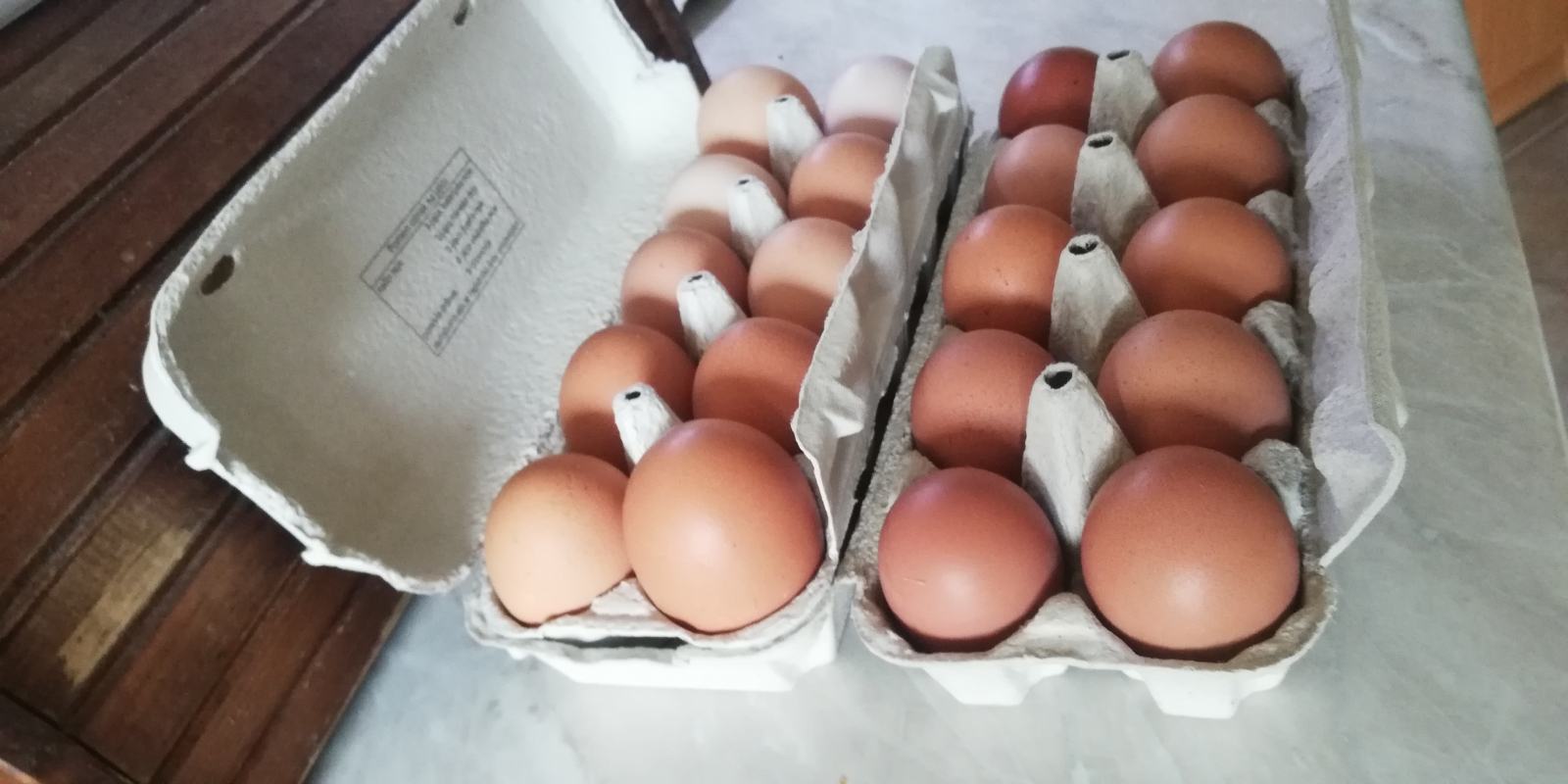 Domača kokošja jajca