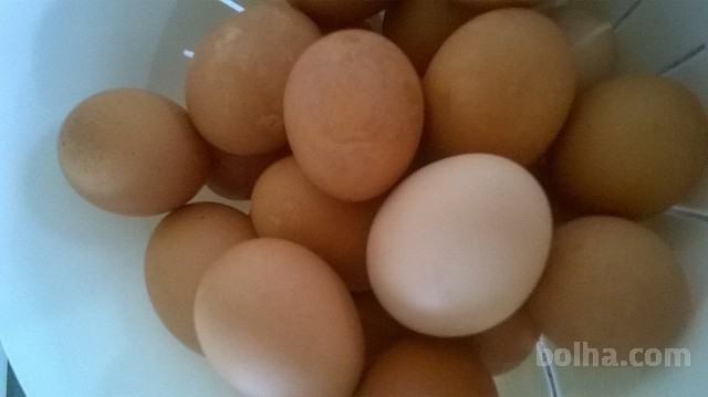 DOMAČA KOKOŠJA JAJCA