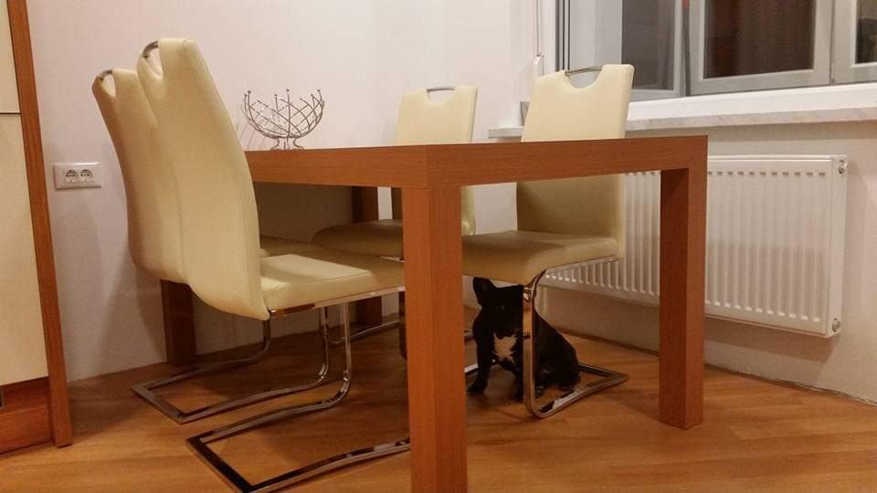 JEDILNA MIZA 160x90cm Mizarstvo Smolej