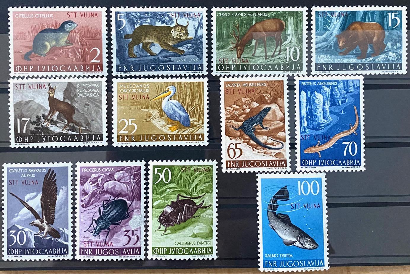 JUGOSLAVIJA (Trst Cona B) 1954: Fauna