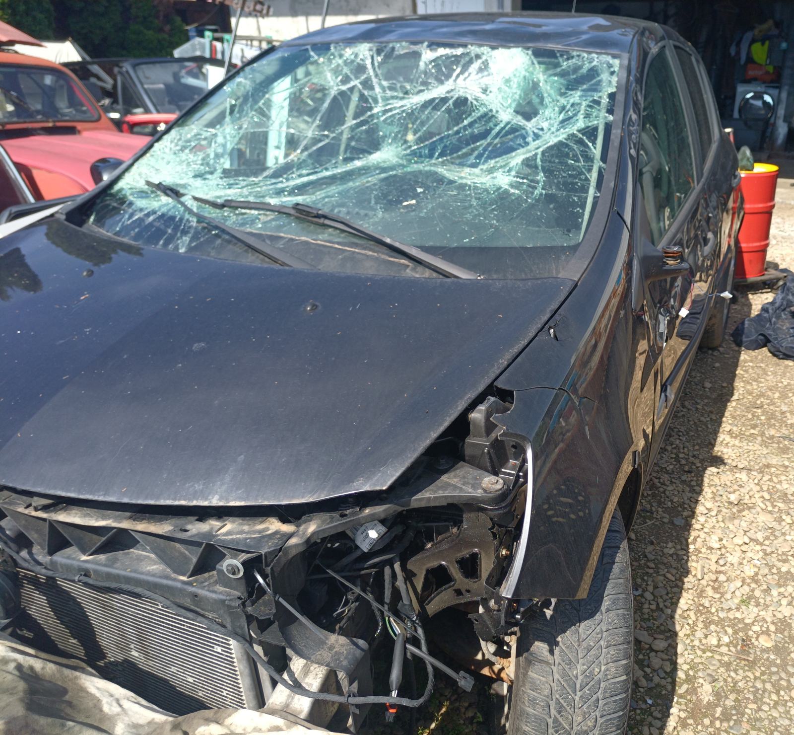 Renault Clio 3 Rip Curl, 2007 l.