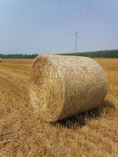 Bale slame