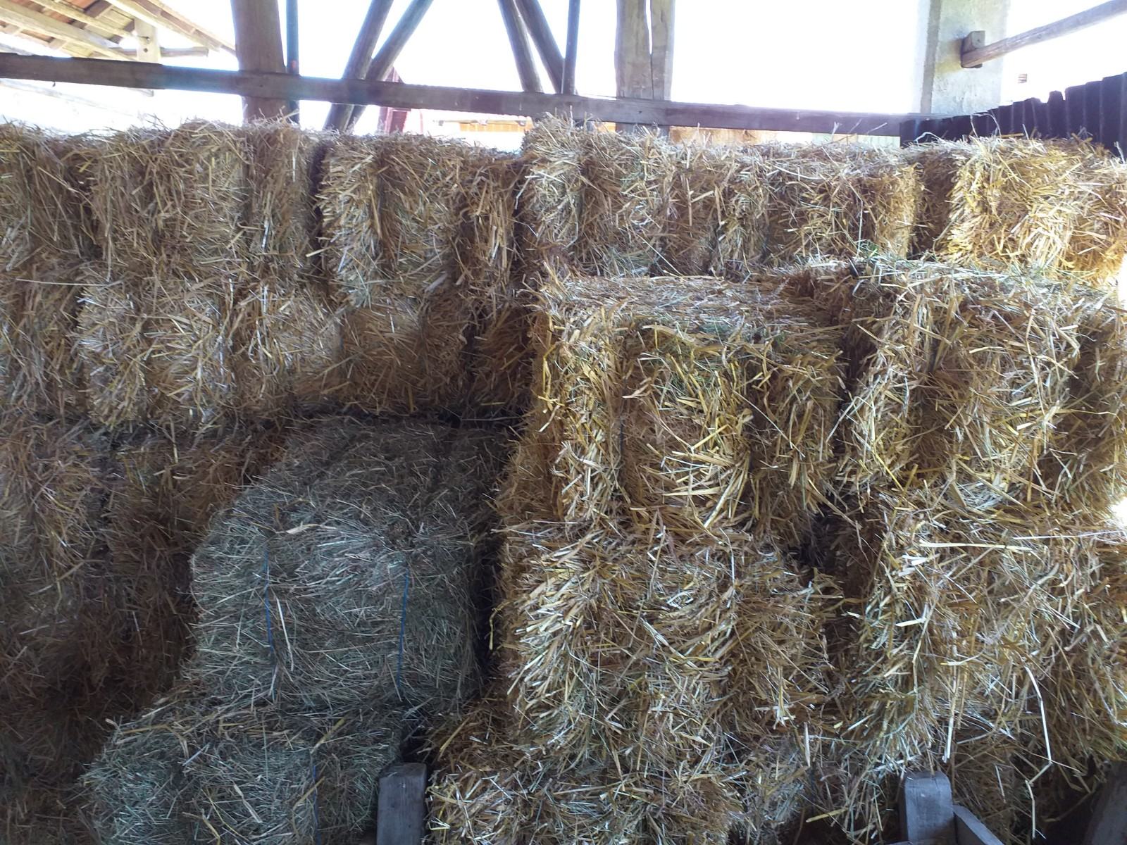 BALE SLAME V KOCKAH