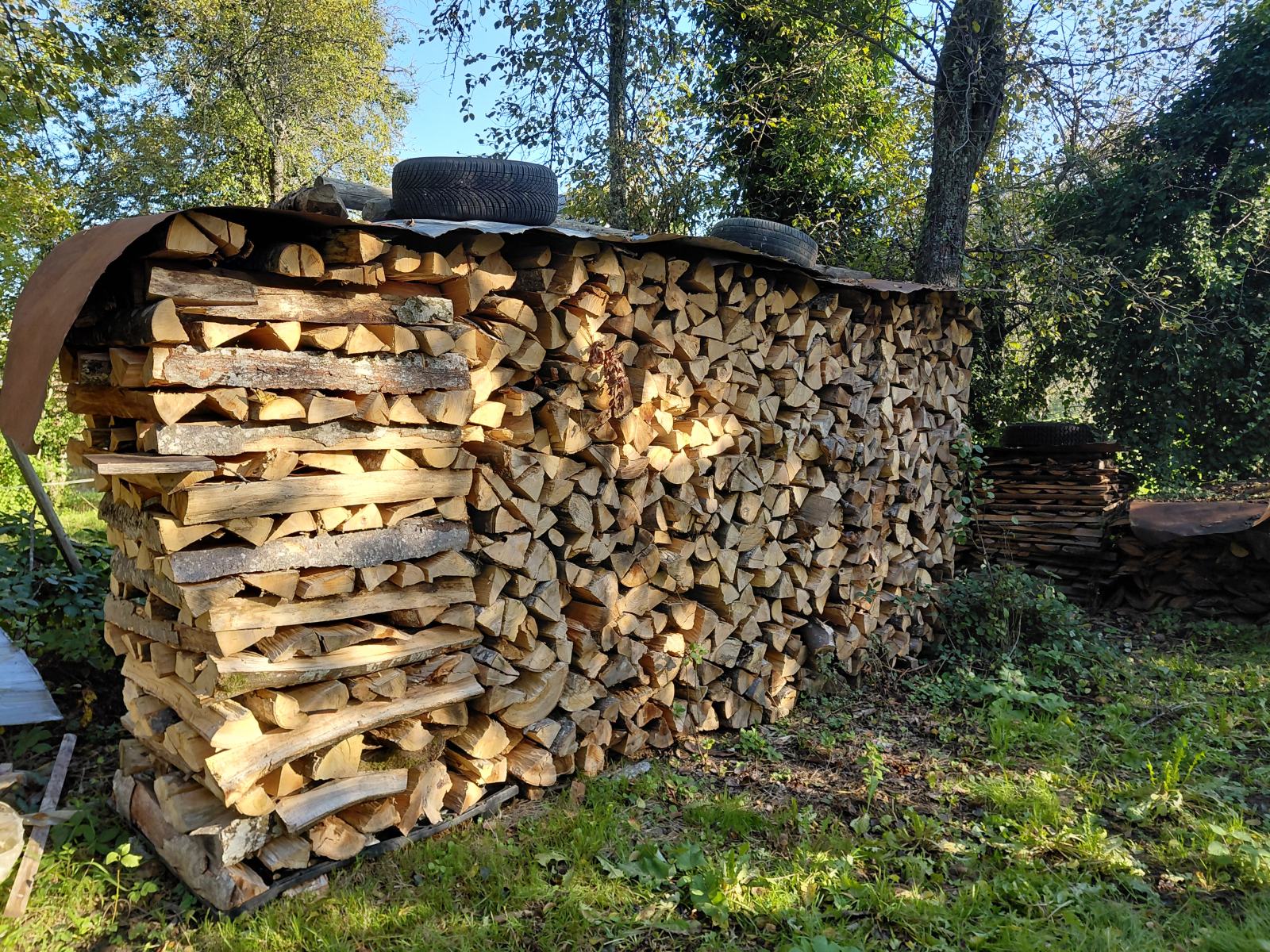 Bukova drva