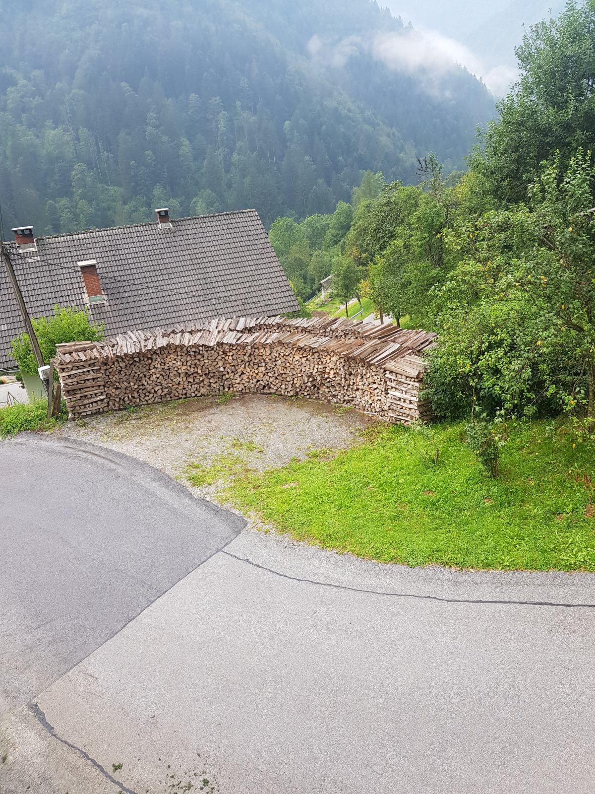 Drva bukev jesen