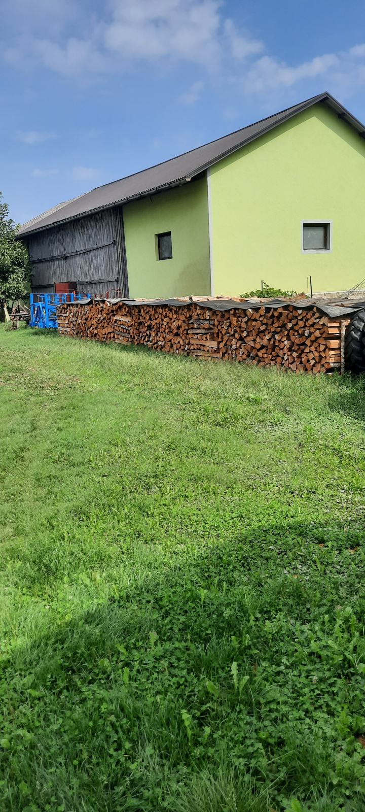 drva mwšaba neterska polena