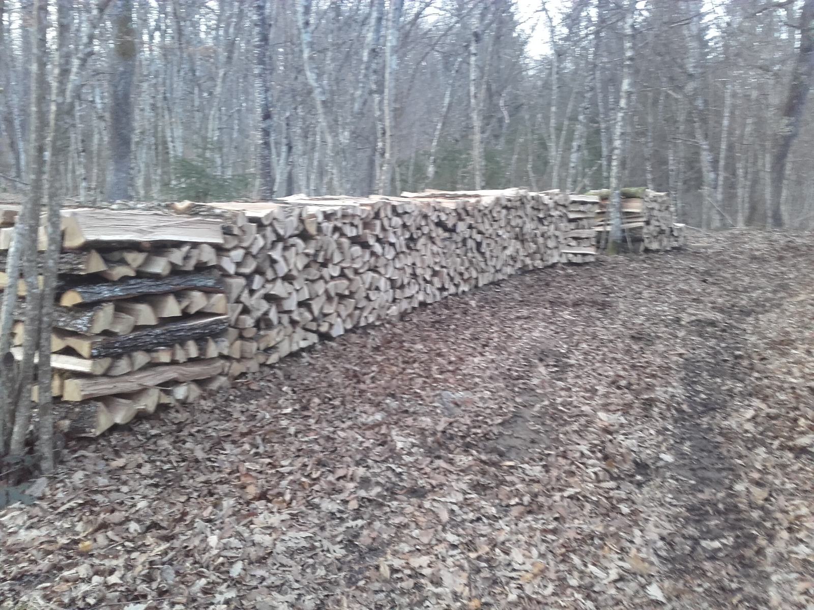 Hrastova drva