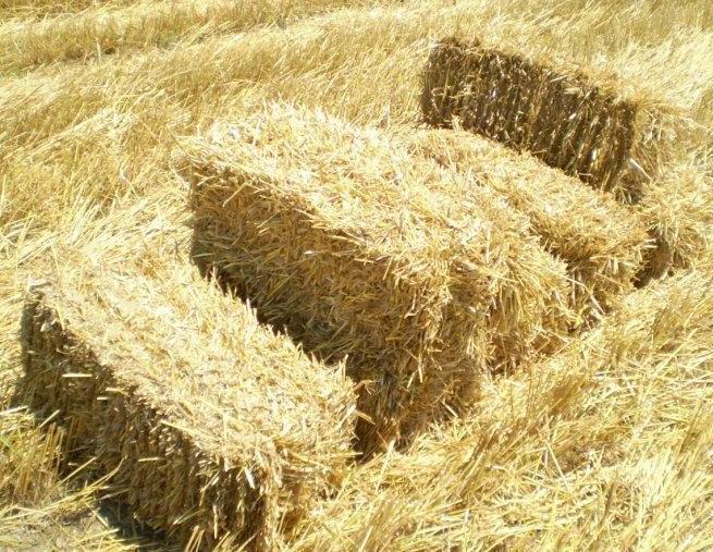 KOCKASTE BALE SLAME