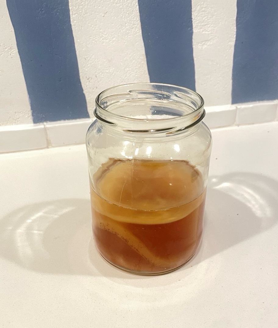 Kombucha scoby kombuča skobi fermentacija