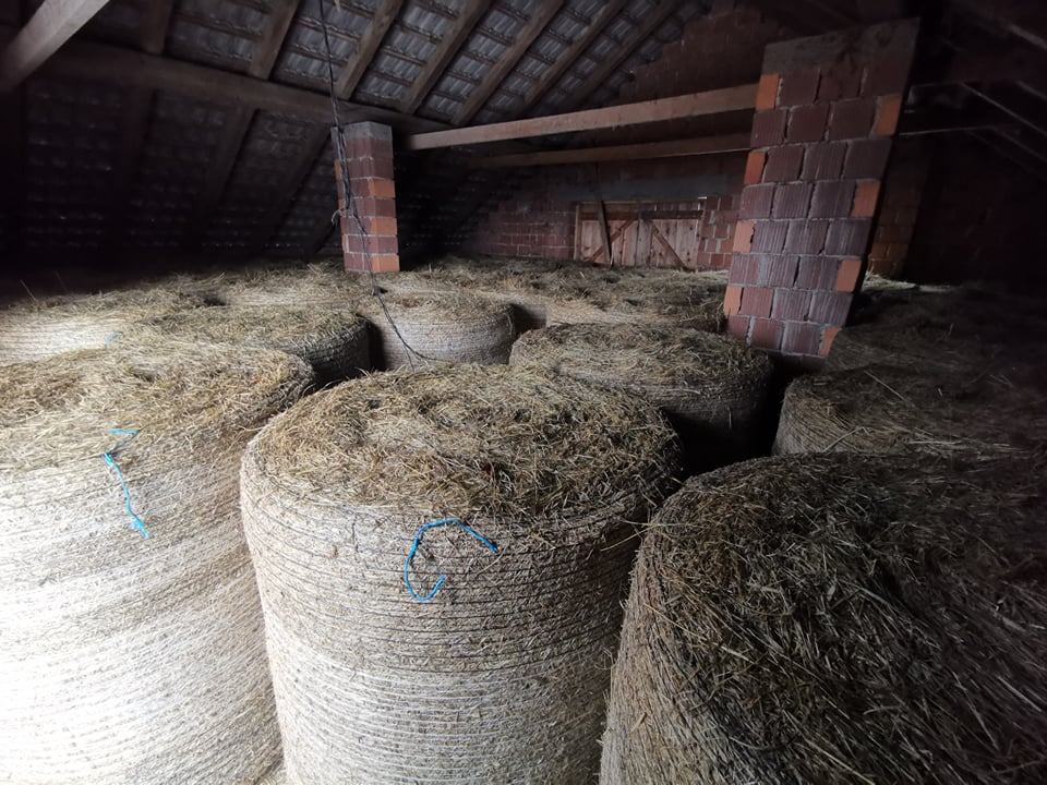 Okrogle suhe bale 125cm, prva košnja