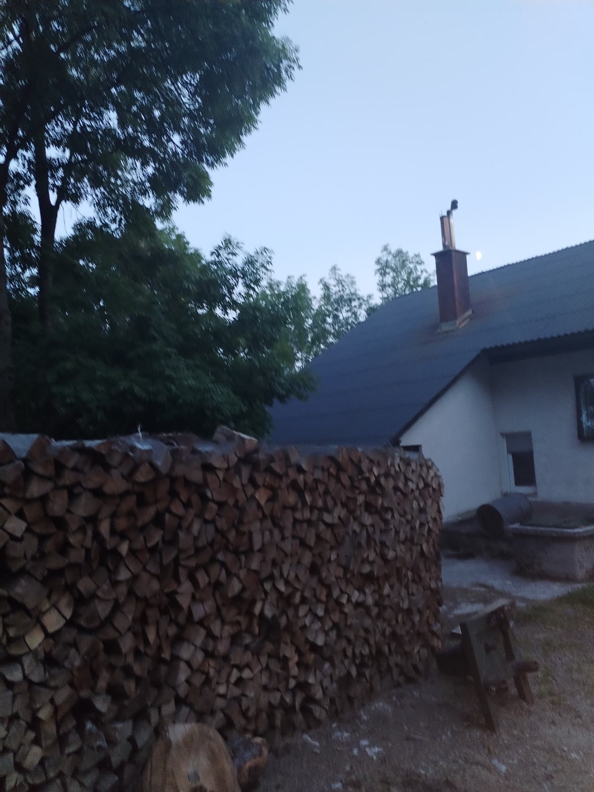 Prodam bukova drva