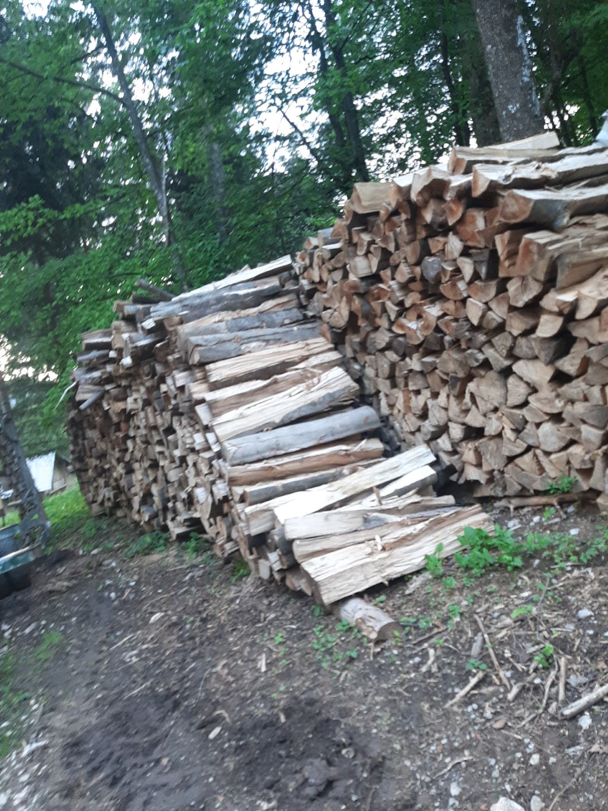 Prodam bukova drva
