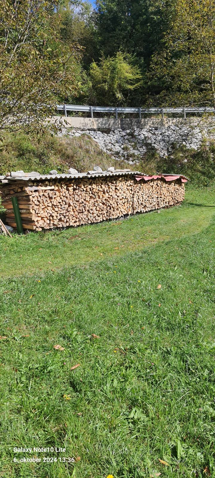 Prodam bukova drva