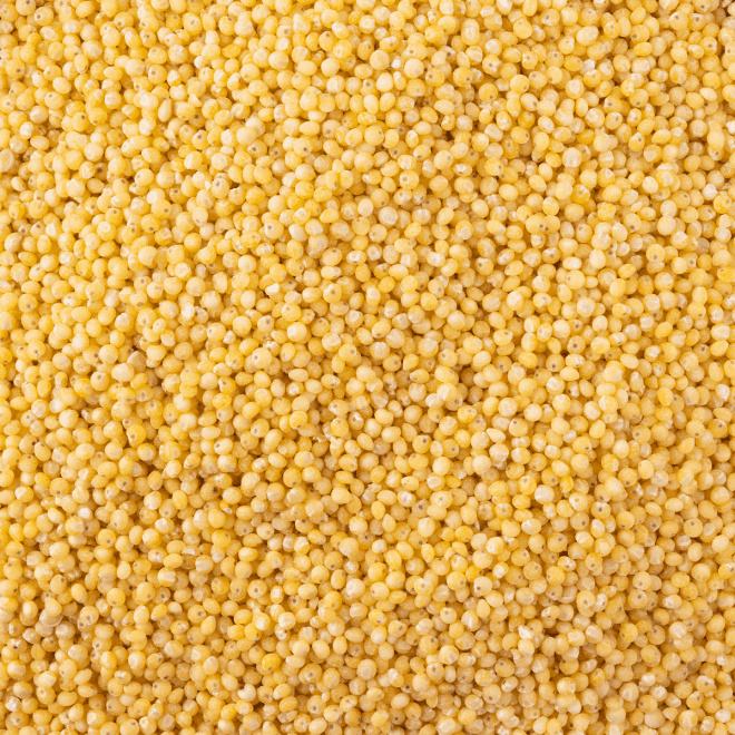 Prodam ekološko pšenico, proso, sončnice