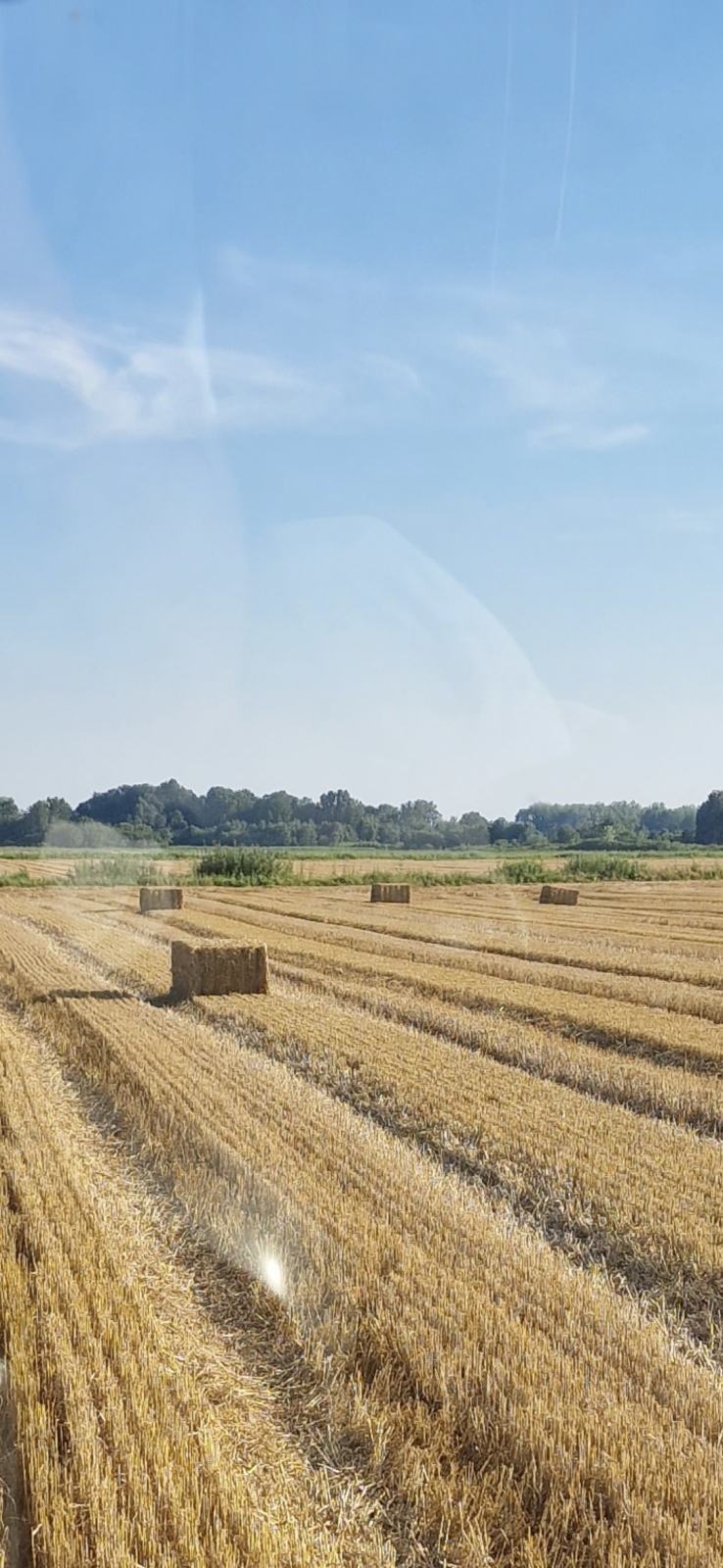Slama quadrant bale