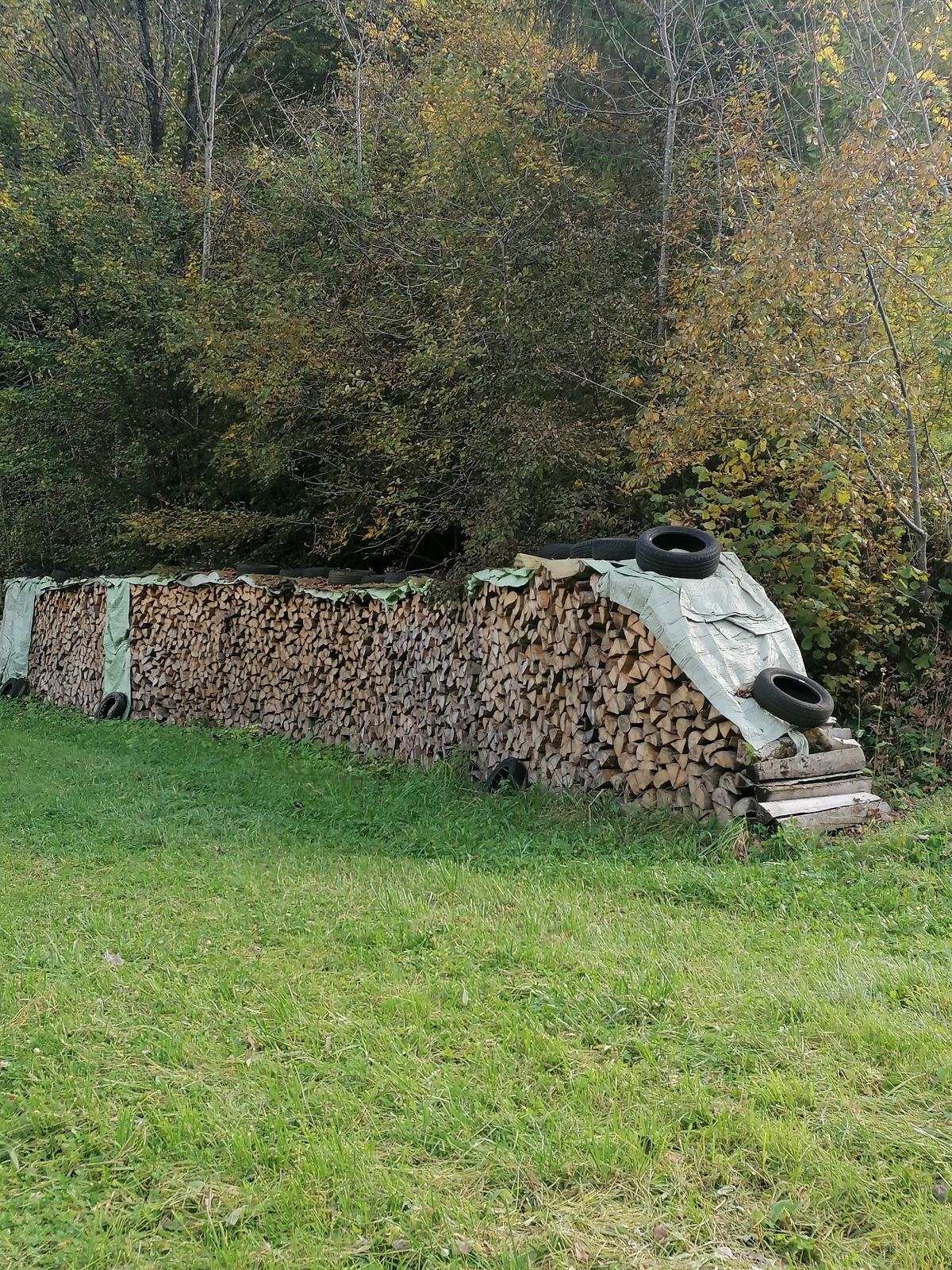 Suha bukova drva