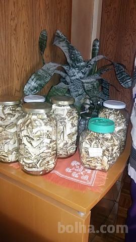 suhe gobe