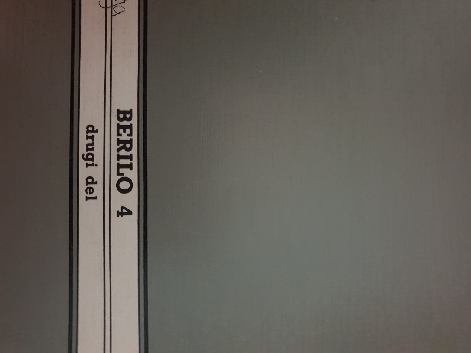 BERILO 1989
