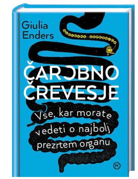 Čarobno črevesje: Vse, kar morate vedeti o najbolj prezrtem organu GI