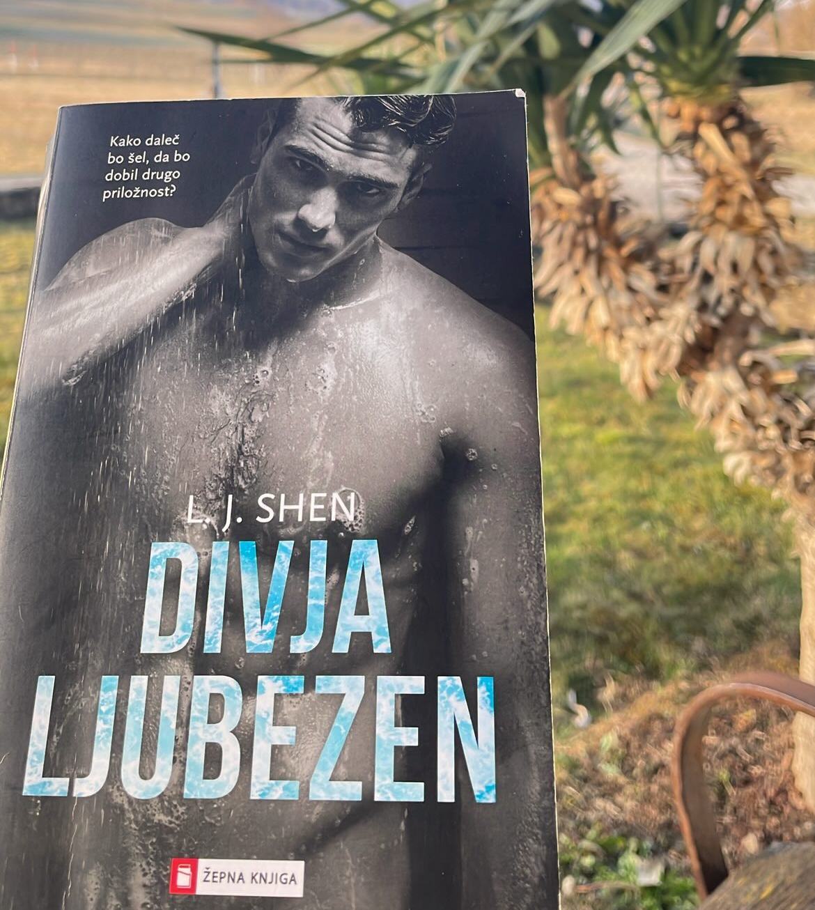 Divja ljubezen, Shen