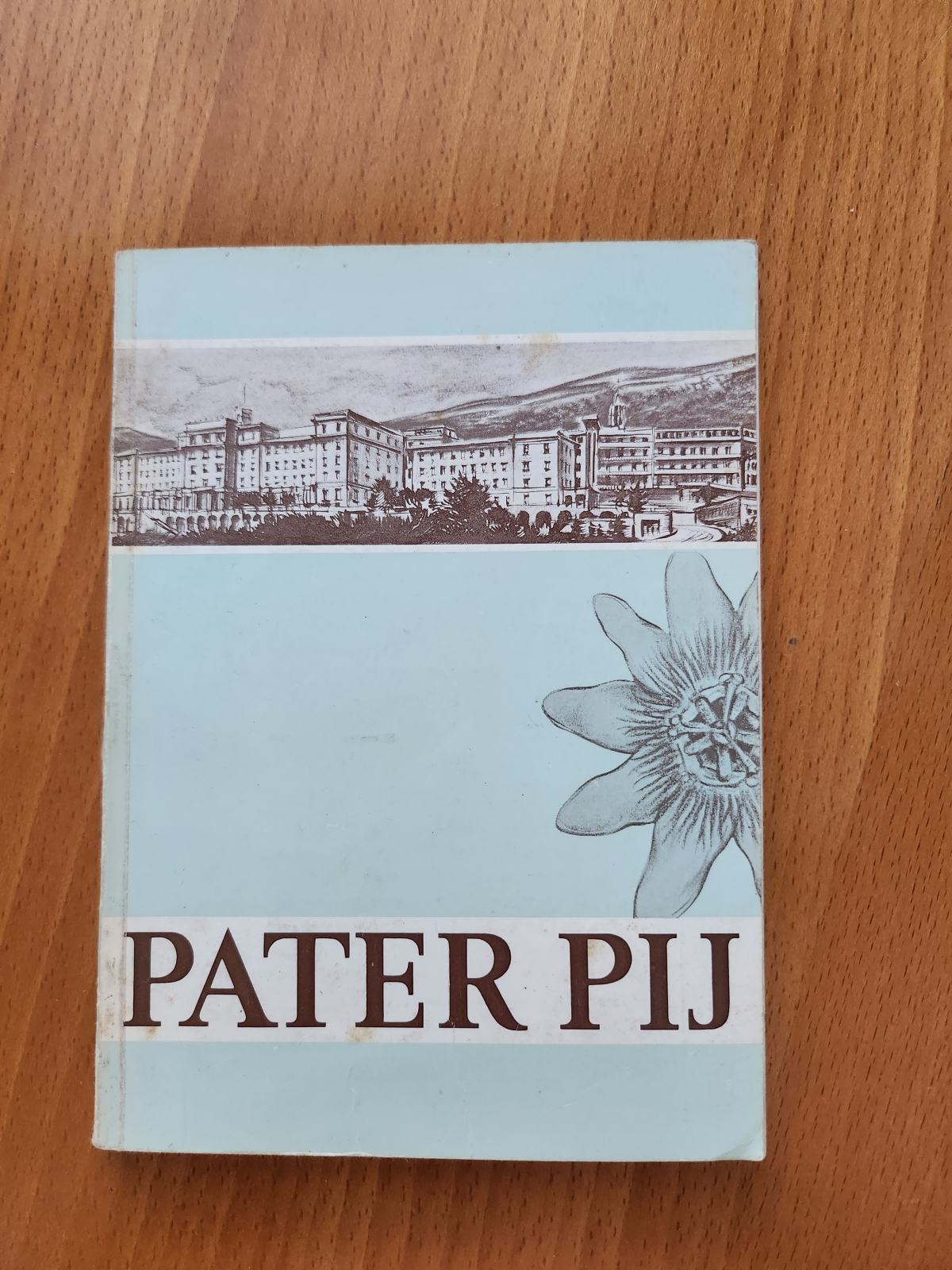 PATER PIJ, STIGMATIK DANAŠNJEGA ČASA