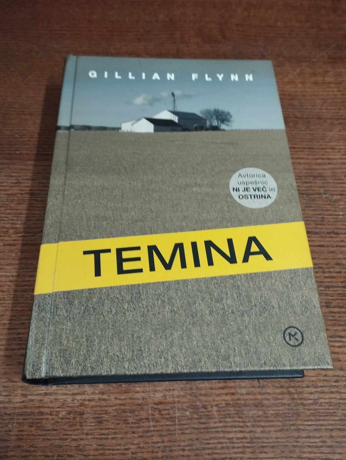 GILLIAN FLYNN TEMINA