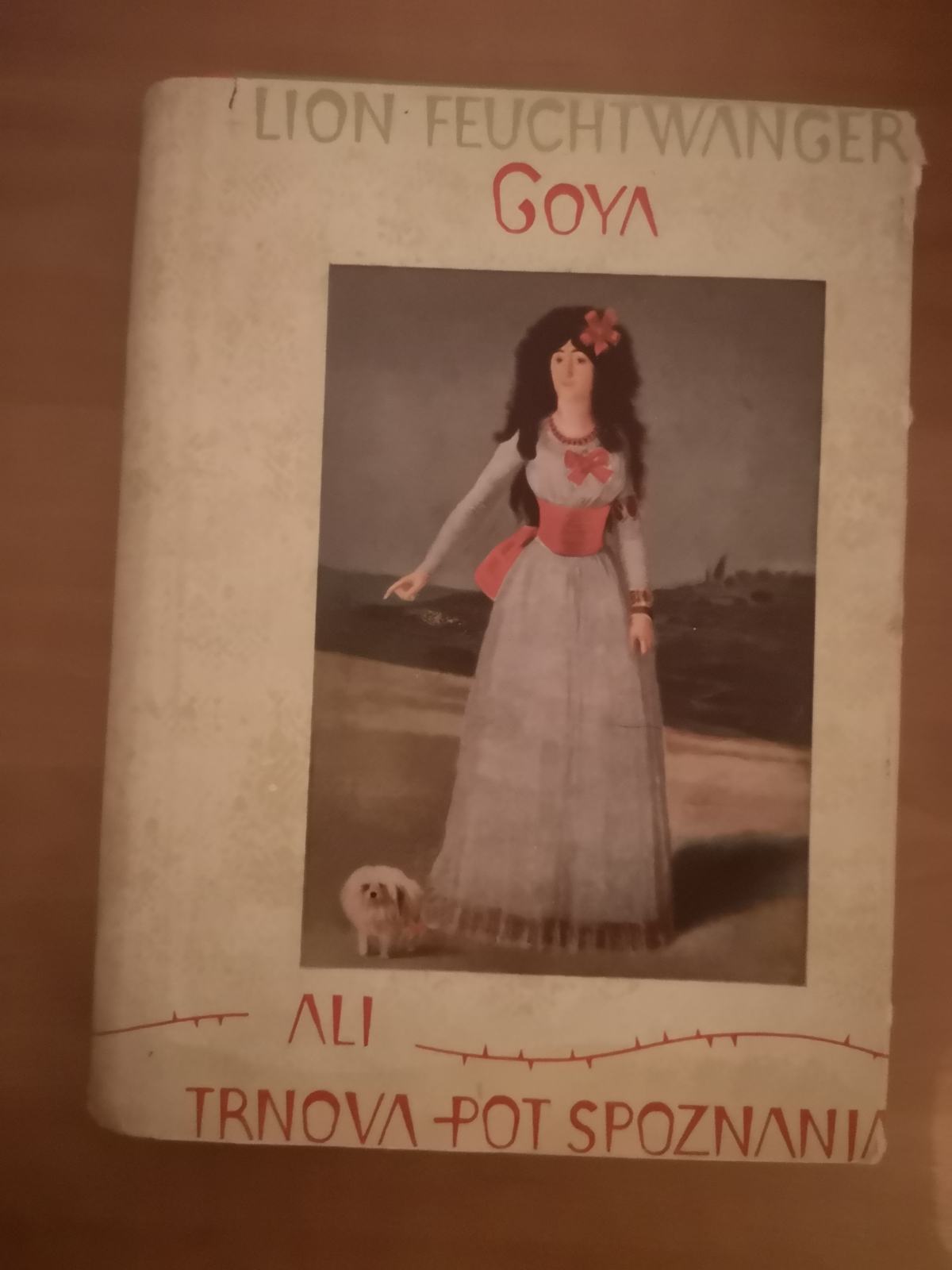 Goya ali trnova pot spoznanja - Feuchtwanger