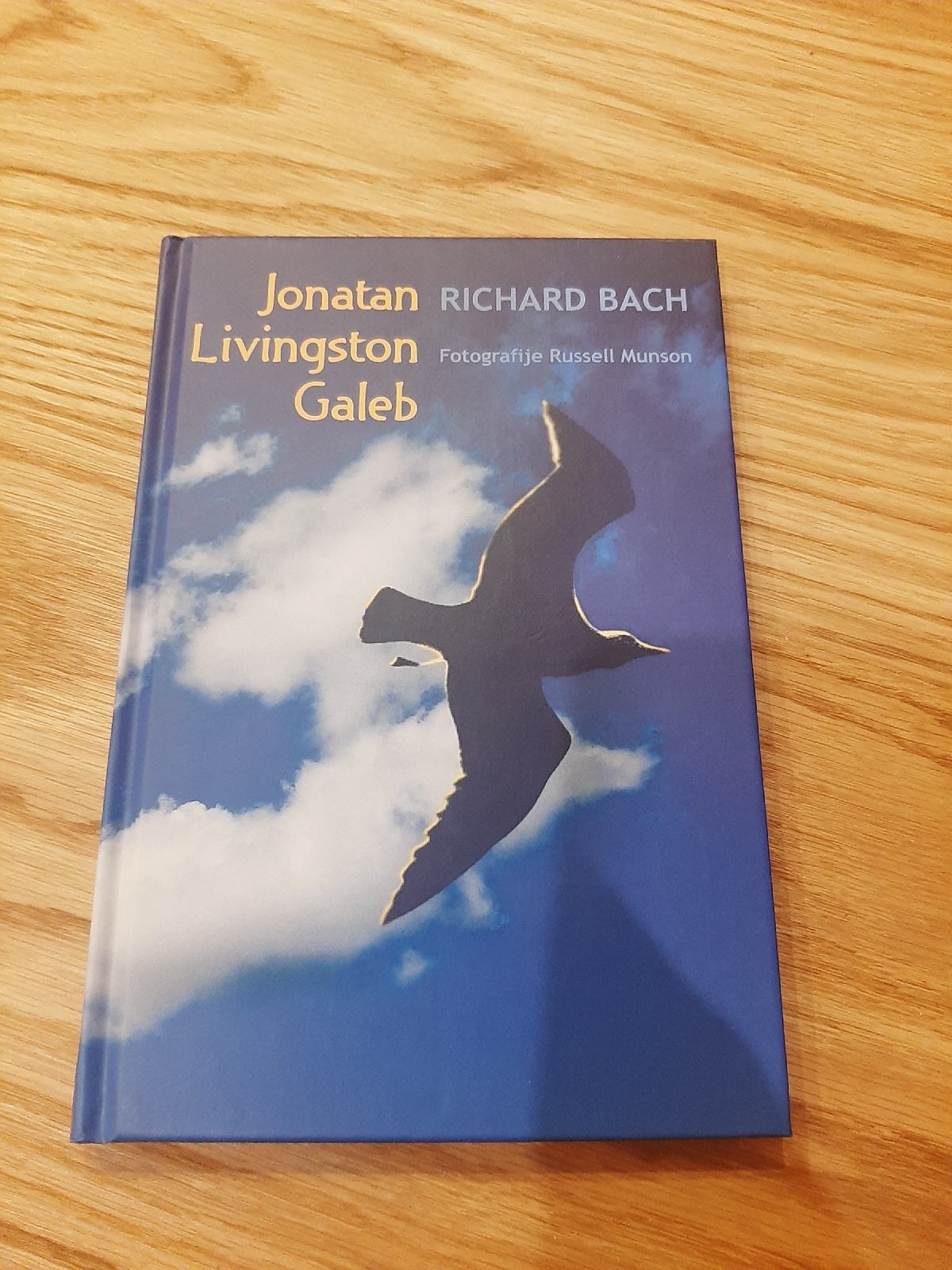 Jonathan Livingston Galeb