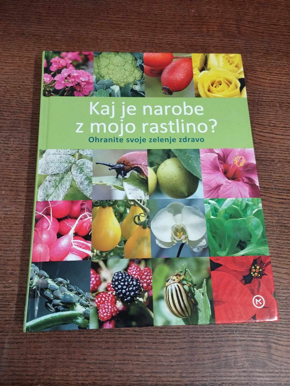 KAJ JE NAROBE Z MOJO RASTLINO?