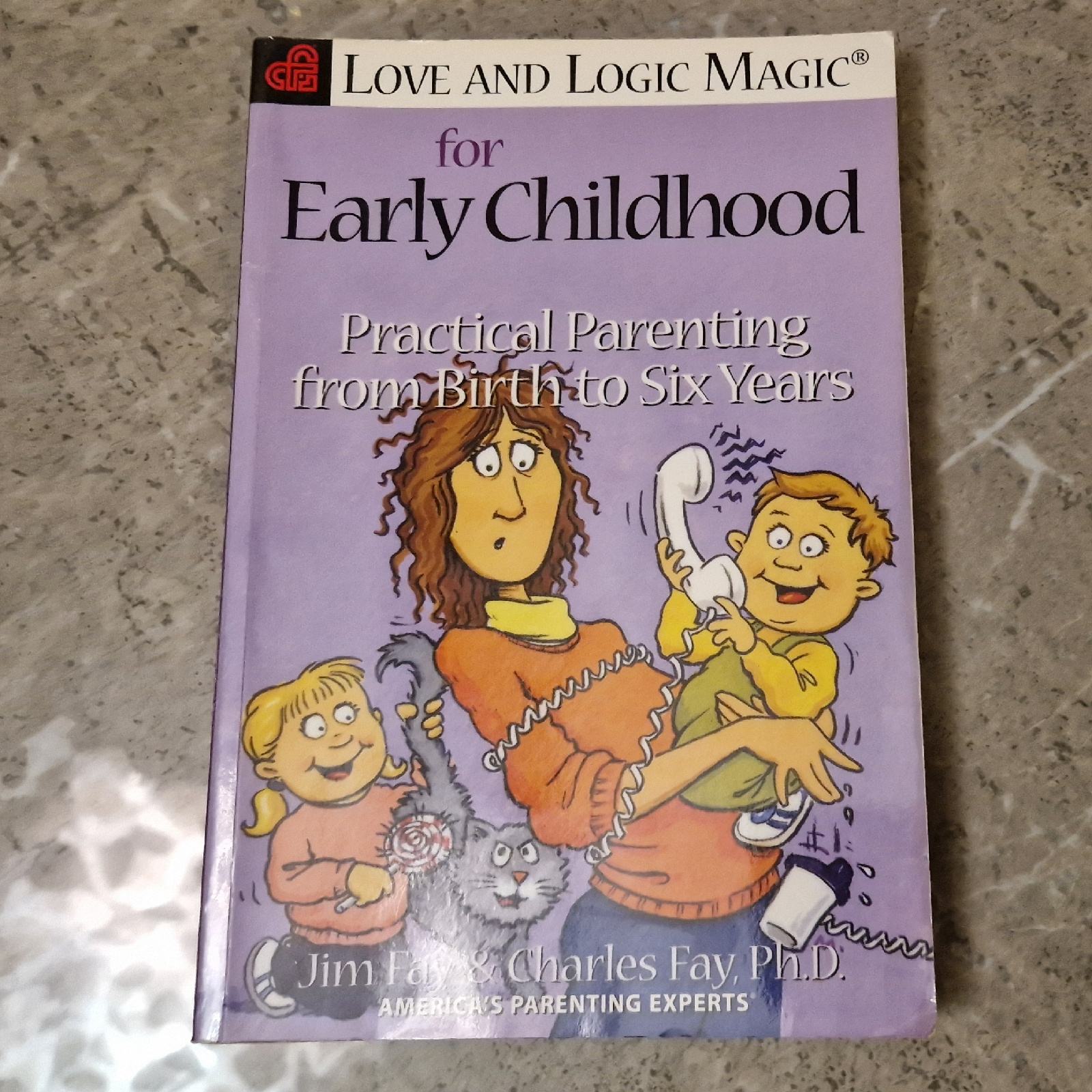 Knjiga Practical parenting from birth to six years - Jim Fay,