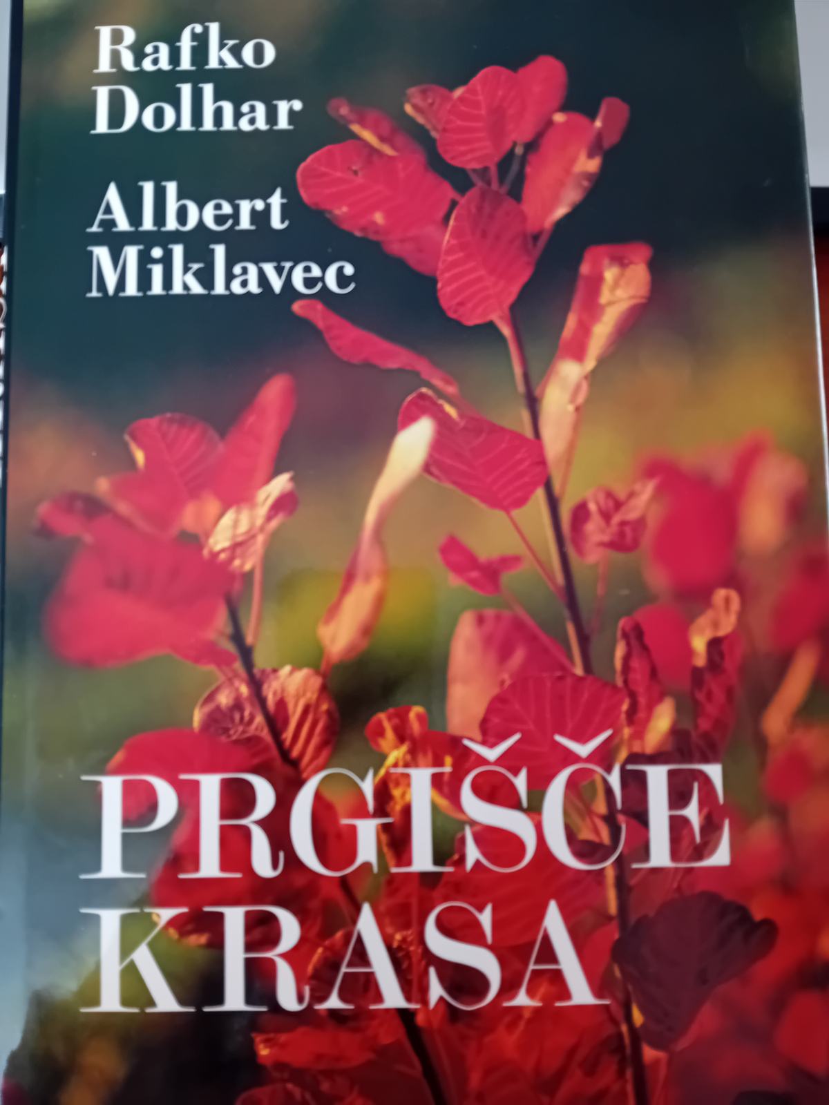 Knjiga Prgišče Krasa Dolhar Rafko