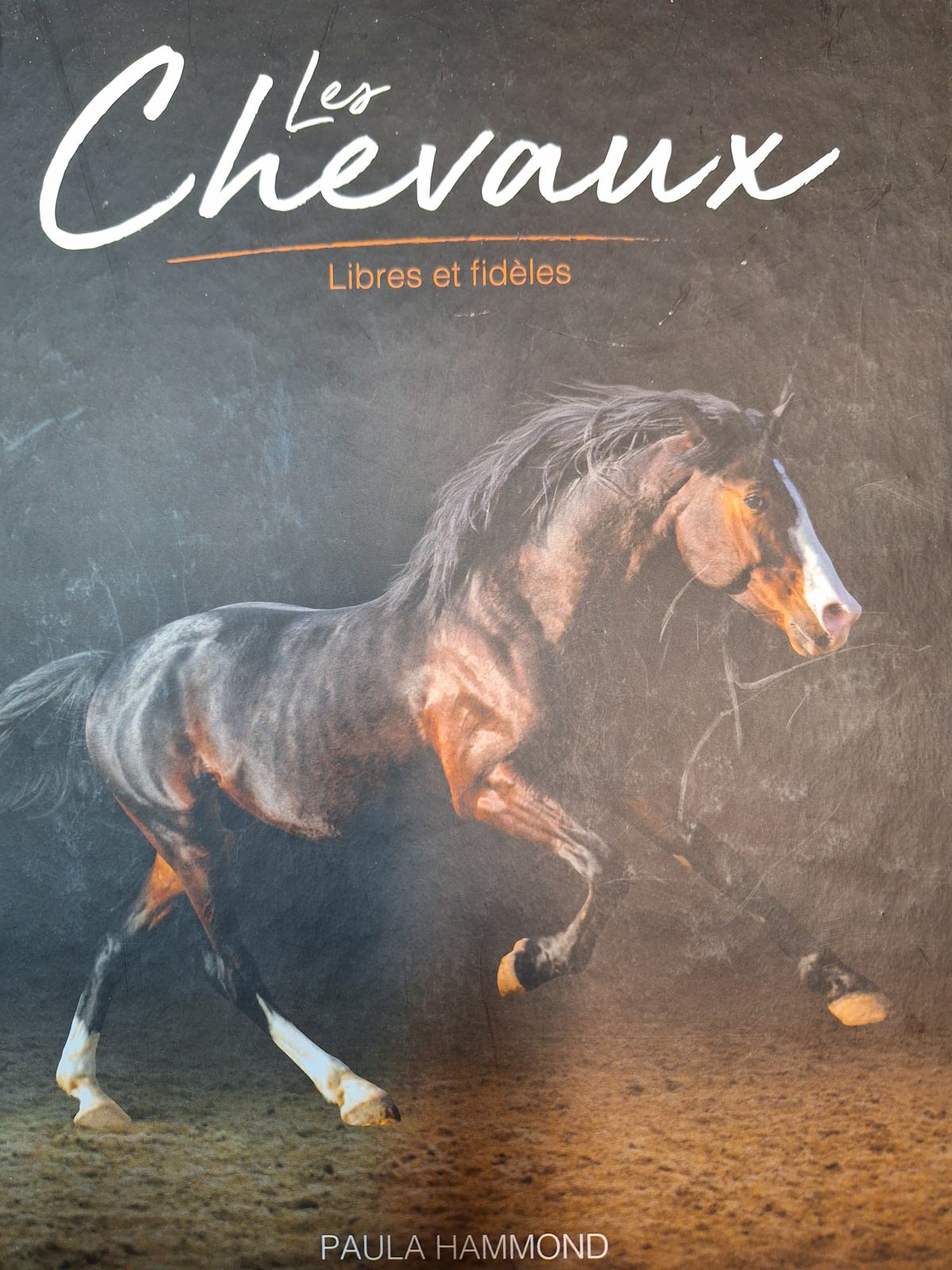 LES CHEVAUX, KONJ CHEVAL V FRANCOŠČINI