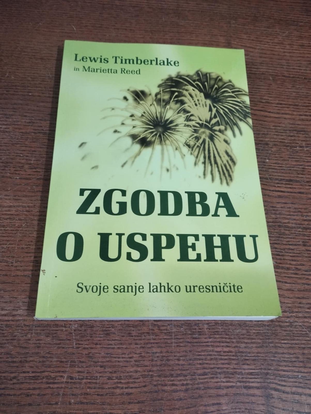LEWIS TIMBERLAKE ZGODBA O USPEHU