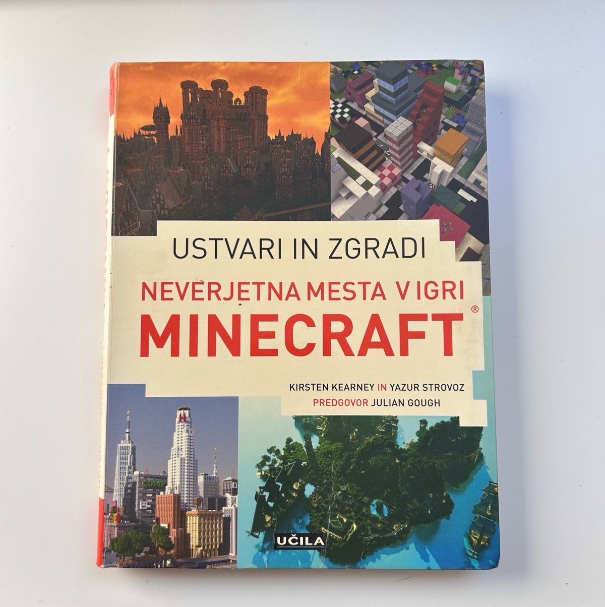 Minecraft knjiga