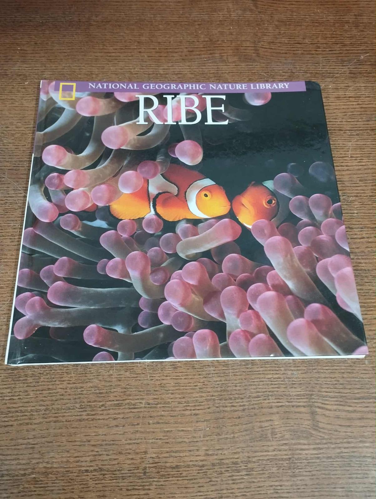 NATIONAL GEOGRAPHIC RIBE